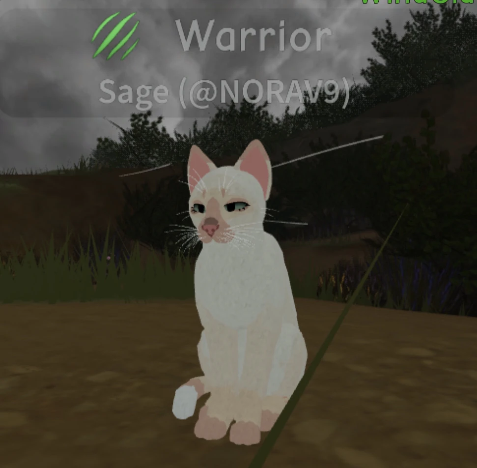 Mouringsong | Warriors OC's Wiki | Fandom