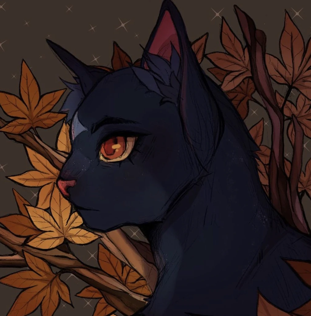 Ravenstar (RC) | Warriors OC's Wiki | Fandom