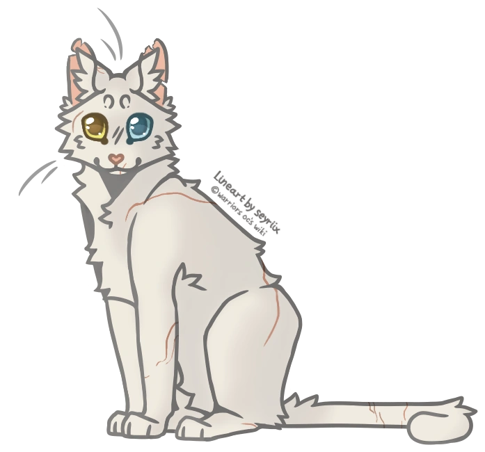 Owlstar (TWWF) | Warriors OC's Wiki | Fandom