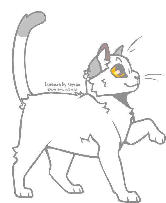 Waterkit | Warriors OC's Wiki | Fandom