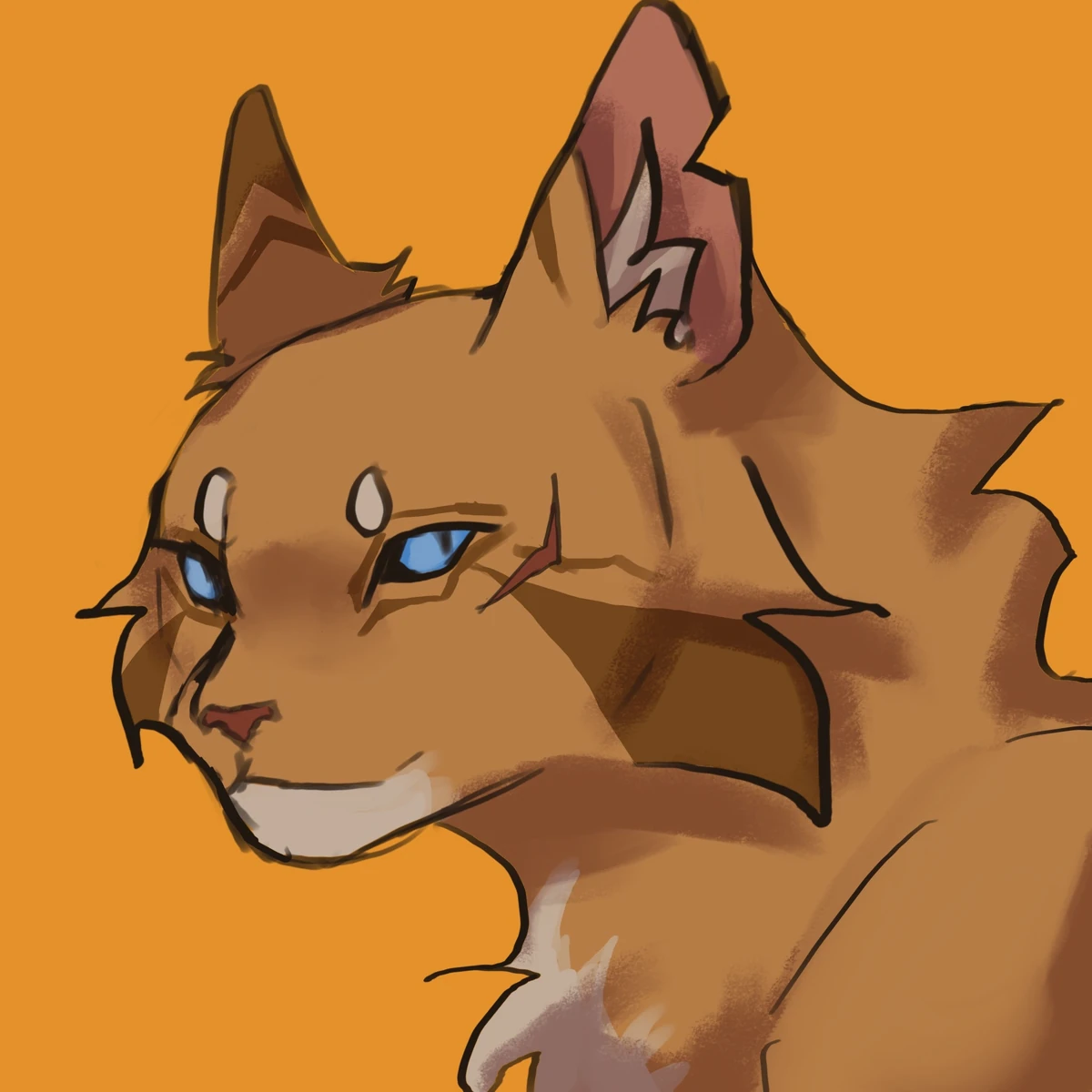 Blazebringer | Warriors OC's Wiki | Fandom