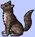 Robinwing | Warriors - Power of Four Wiki | Fandom