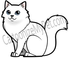 Cloudtail | Warriors - Pure Wiki | Fandom