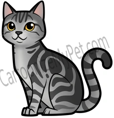 Webfoot | Warriors - Pure Wiki | Fandom