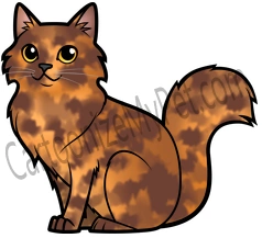 Redtail | Warriors - Pure Wiki | Fandom