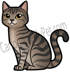 Dustpelt | Warriors - Pure Wiki | Fandom