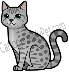 Ferncloud | Warriors - Pure Wiki | Fandom