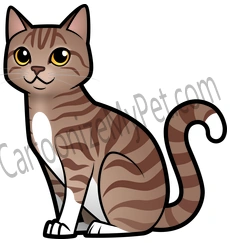 Leafpool | Warriors - Pure Wiki | Fandom