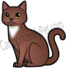 Robinwing | Warriors - Pure Wiki | Fandom