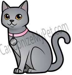 Ruby | Warriors - Pure Wiki | Fandom