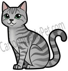 Brindleface | Warriors - Pure Wiki | Fandom