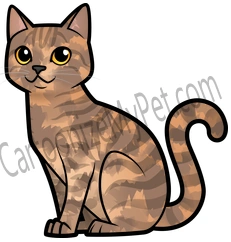 Leafstar | Warriors - Pure Wiki | Fandom