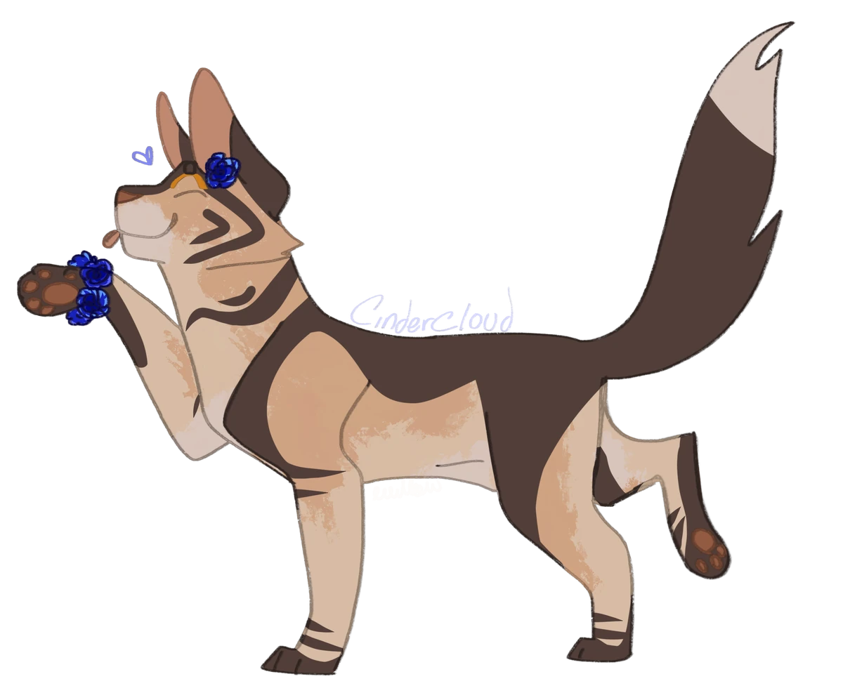 Cinderkit | Warriors Roleplay Wiki | Fandom