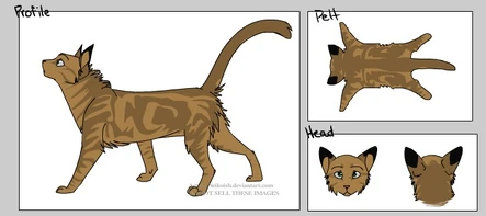 Fernstar | Warriors Roleplay Wiki | Fandom