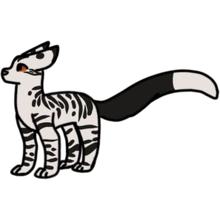 Loonpaw | Warriors Roleplay Wiki | Fandom