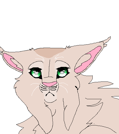 Briarpaw | Warriors Roleplay Wiki | Fandom