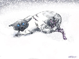 Frostpaw | Warriors Roleplay Wiki | Fandom