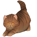 Petalkit | Warriors Storm Clan! Wiki | Fandom