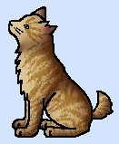 Berrynose | Warriors - The Anger of Sisters Wiki | Fandom