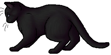 Crowfeather | Warriors: The Dark Hallows Wiki | Fandom