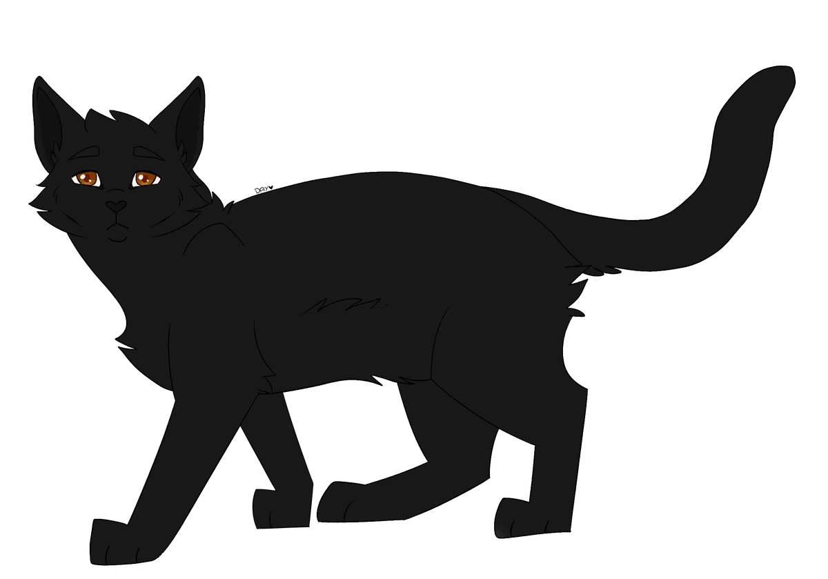 Nighthawk | Warriors the Forgotten Generation Wiki | Fandom