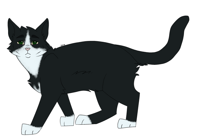 Rushpaw | Warriors the Forgotten Generation Wiki | Fandom