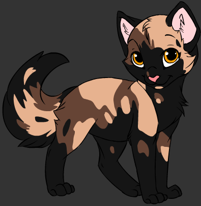 Dancing Leaf | Warriors - The Foundation Wiki | Fandom