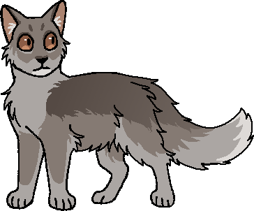 Fogstar | Warriors: Daughters of the Coast Wiki | Fandom