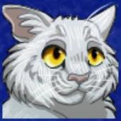 Cloudpaw | Warriors: the Road to Immortality Wiki | Fandom