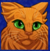 Oakstar | Warriors: the Road to Immortality Wiki | Fandom