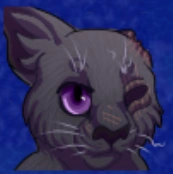 Darkfang | Warriors: the Road to Immortality Wiki | Fandom