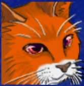 Redflower | Warriors: the Road to Immortality Wiki | Fandom