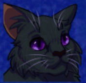 Ravenwing | Warriors: the Road to Immortality Wiki | Fandom