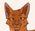 Featherpaw (RC) | Warriors: The stars align Wiki | Fandom