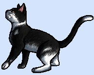 Swiftfoot | Warriors - Twisting the Present Wiki | Fandom