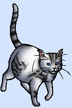 Ivypool | Warriors - Twisting the Present Wiki | Fandom