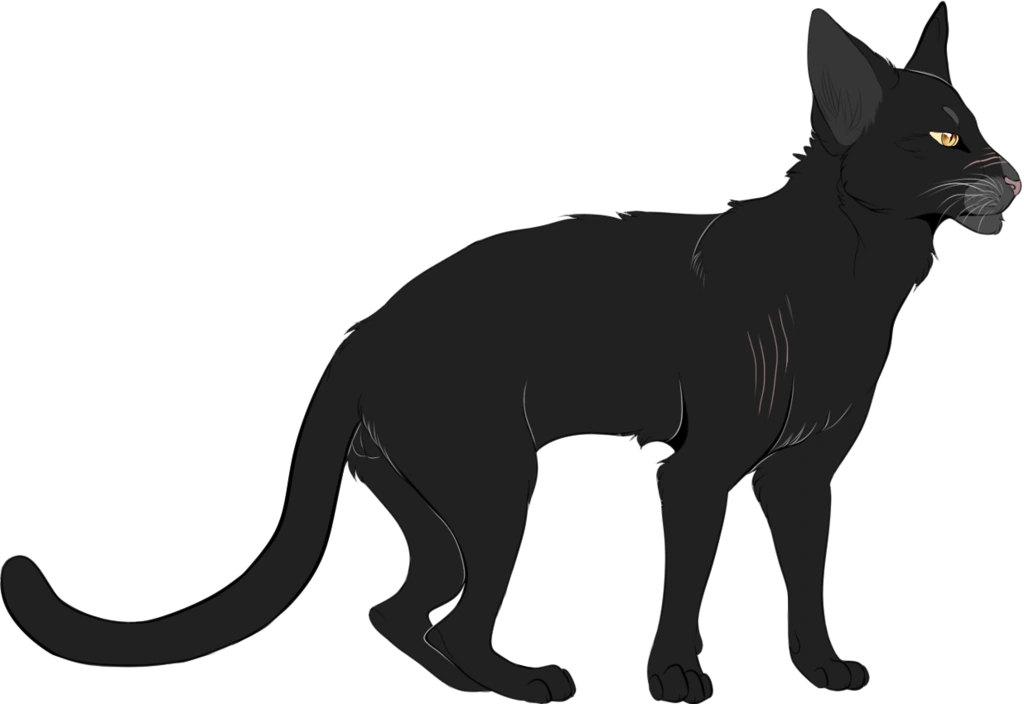 Breezepelt | Warriors - what should have happened Wiki | Fandom