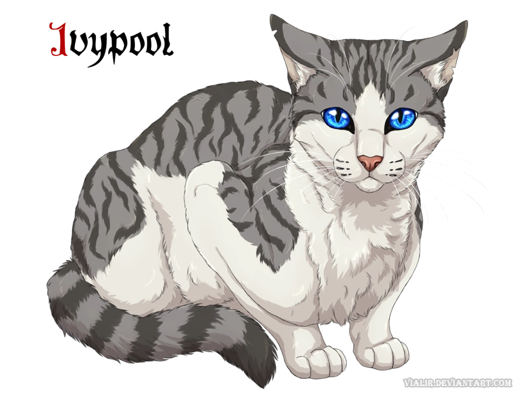 Ivypool | Warriors - what should have happened Wiki | Fandom