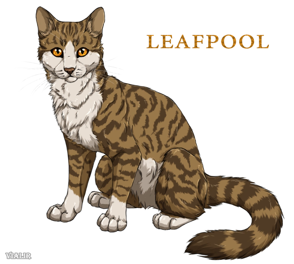 Leafpool | Warriors - what should have happened Wiki | Fandom