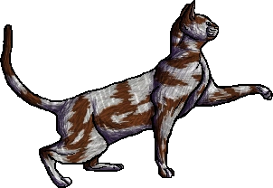 Berrypaw | Warriors world Wiki | Fandom