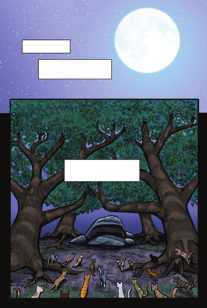 Warriors Cats Skyclan Camp