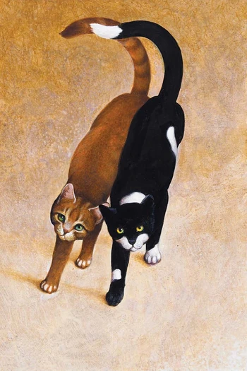 Smudge | Warriors Wiki | Fandom