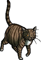 Warrior Cat Leafpool Kits Leafpool | Warriors Wiki | Fandom
