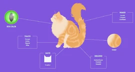 Warrior Cats website | Warriors Wiki | Fandom