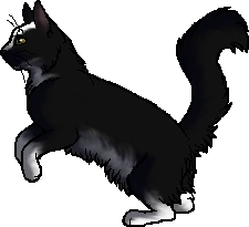 Leaf (TC) | Warriors Wiki | Fandom