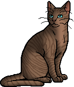 Sparrowtail | Warriors Wiki | Fandom