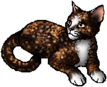 Spottedleaf Warrior Cats