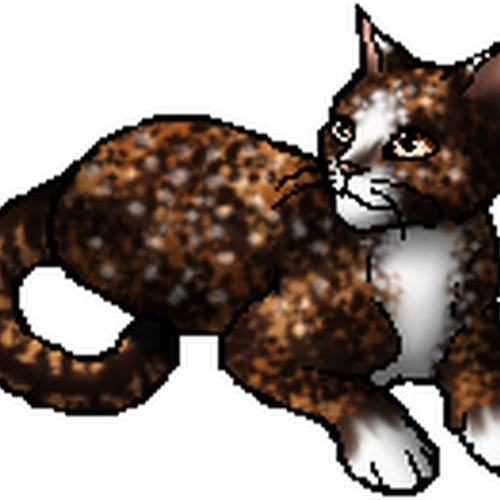 Warrior Cats Spottedleafs Second Death