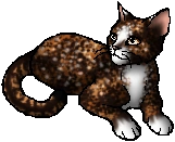 Spottedleaf | Warriors Wiki | Fandom