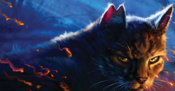 ShadowClan | Warriors Wiki | Fandom